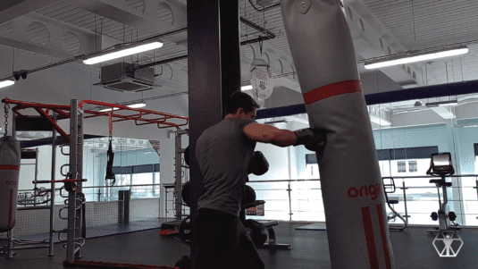 The Batman Program - Batman Training for the Rest of Us - The Bioneer