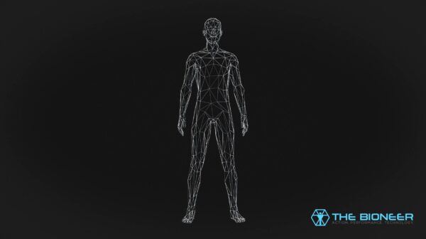 Your Infinite Potential: Marvels of the Human Body - The Bioneer