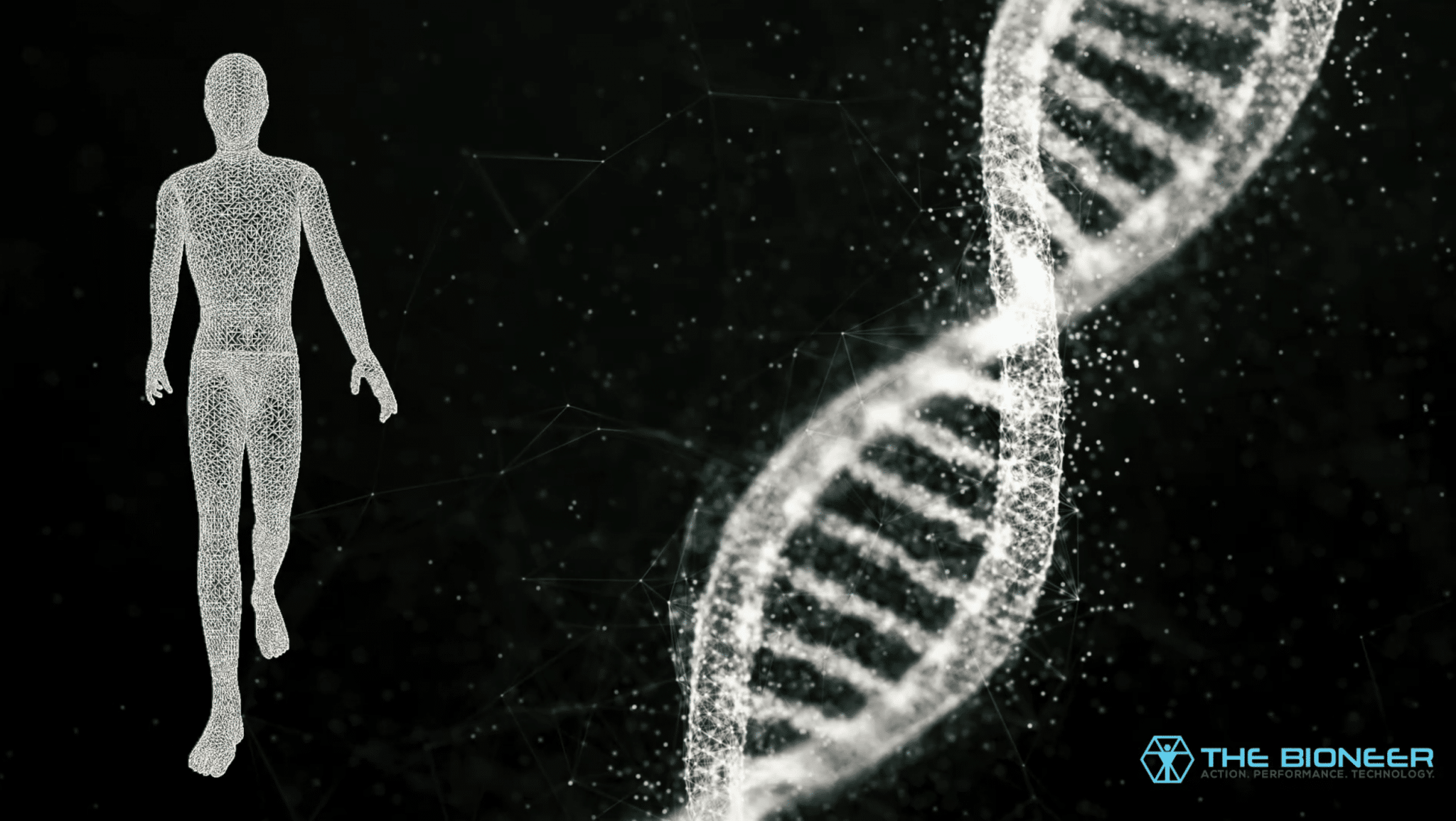What Happens in the Body When You Build Muscle: The Science of Getting ...