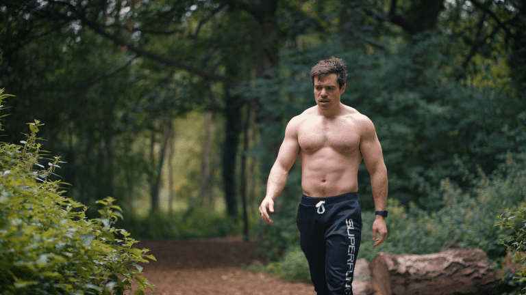 What Happens in the Body When You Build Muscle: The Science of Getting ...
