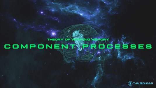 Component Processes - The Bioneer